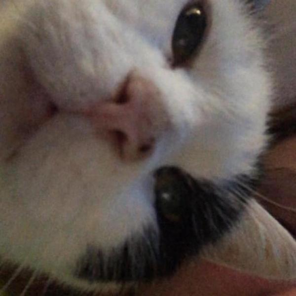 Tyson Christopher | The Pet Memorial