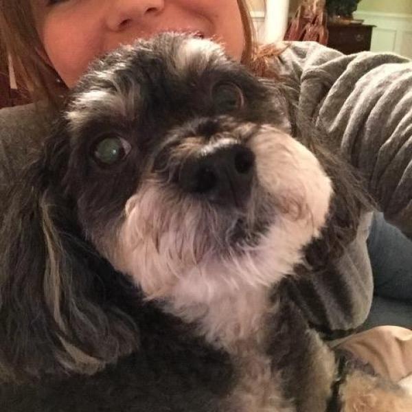 Connor The Con Man | The Pet Memorial