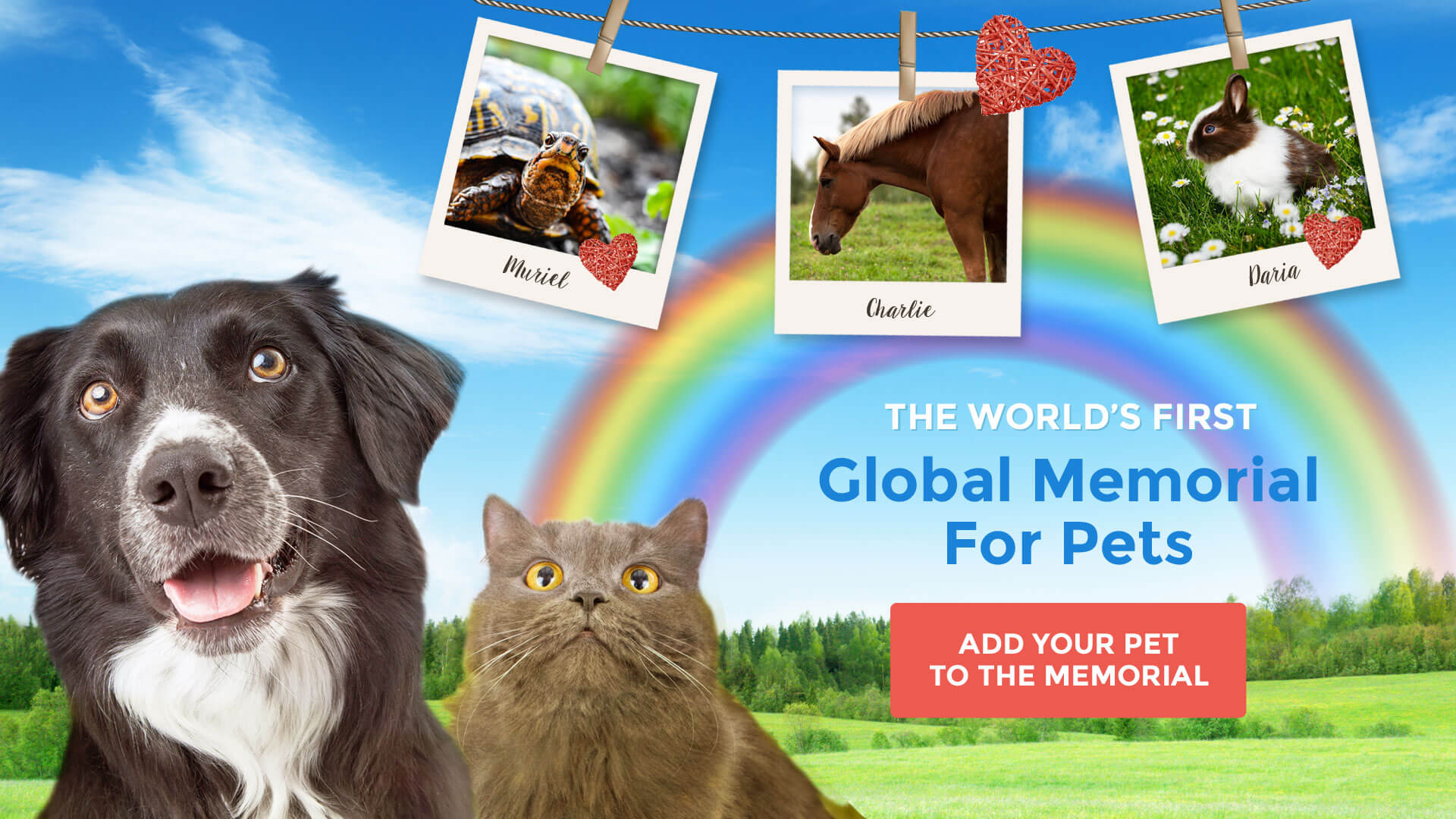 Home | The Pet Memorial