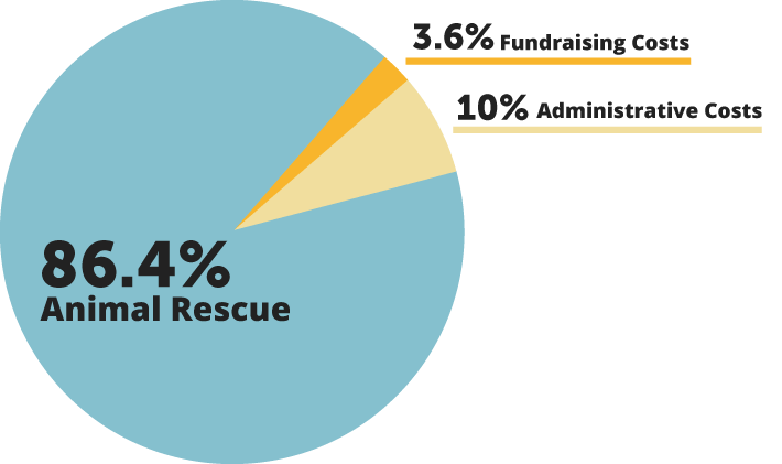 About Us | The Pet Memorial